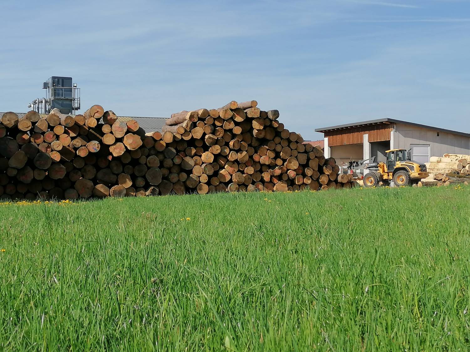 A few impressions - Kölbl European Tonewood EN